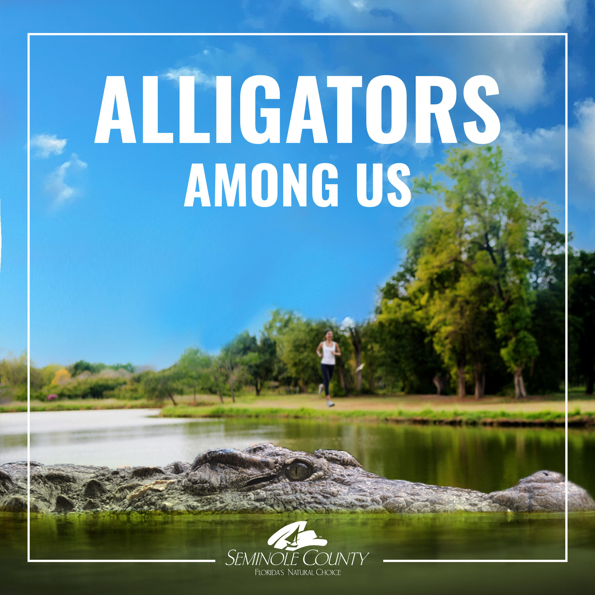 ALLIGATORS AMONG US - HELPFUL SAFETY TIPS (Seminole County) — Nextdoor ...