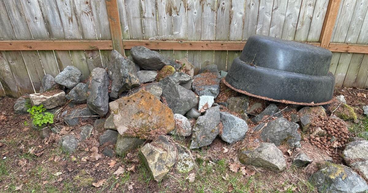 Assorted rock garden rocks for Free in Anchorage, AK | For Sale & Free ...
