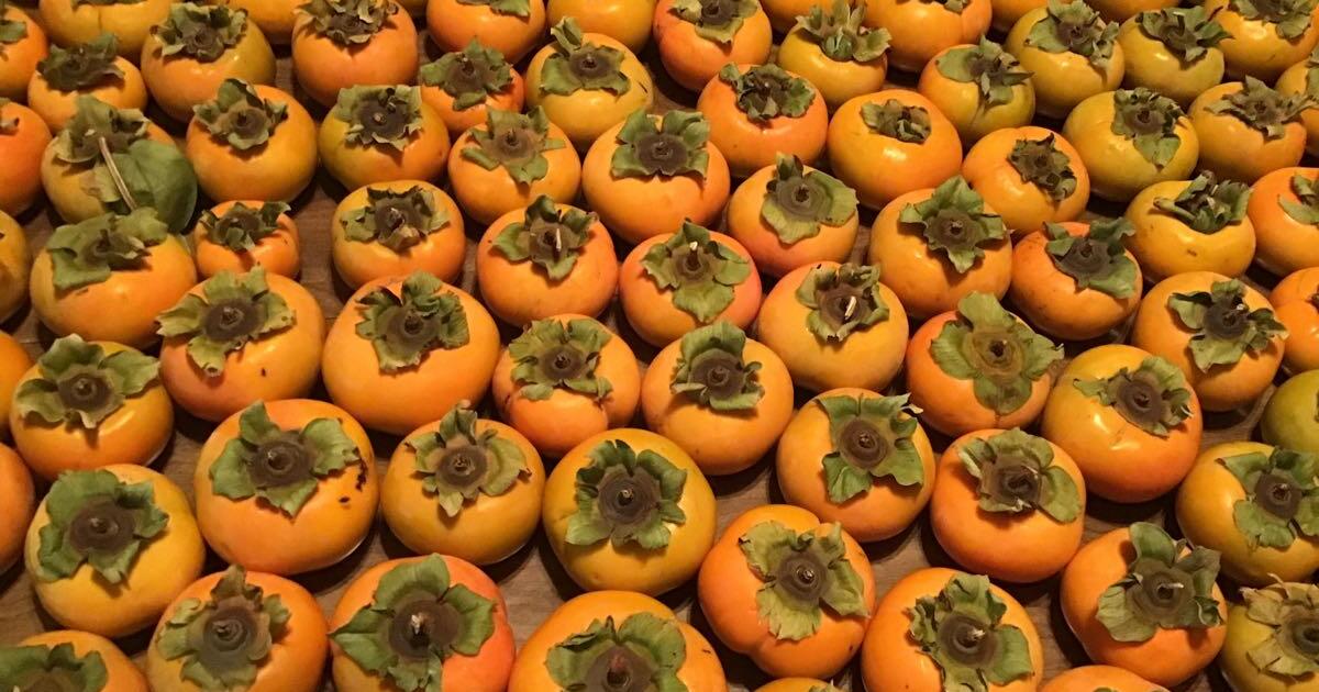 Organic Fuyu Persimmons for trade in Novato, CA | For Sale & Free ...