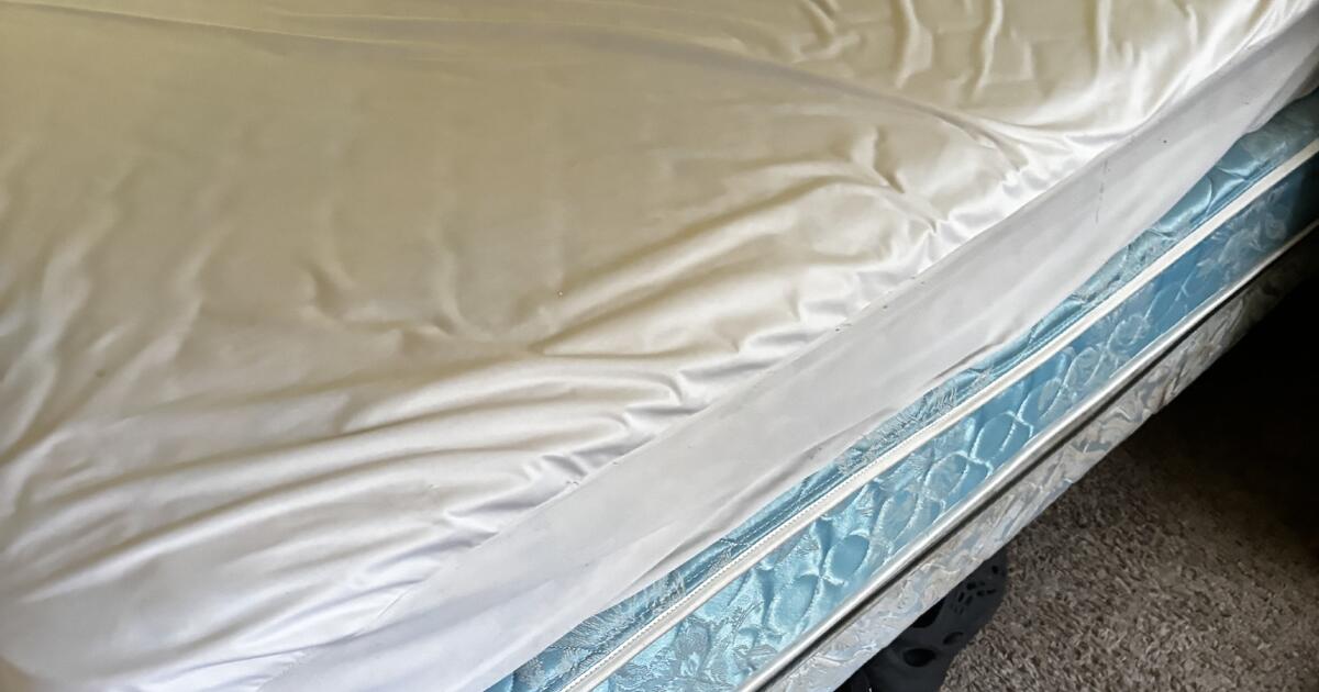 Single Craftmatic adjustble bed with attached remote for Free in ...