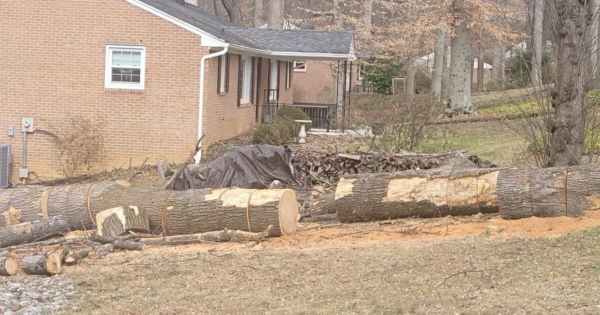 Free Tree Logs For Firewood for Free in Kingsville, MD | For Sale ...