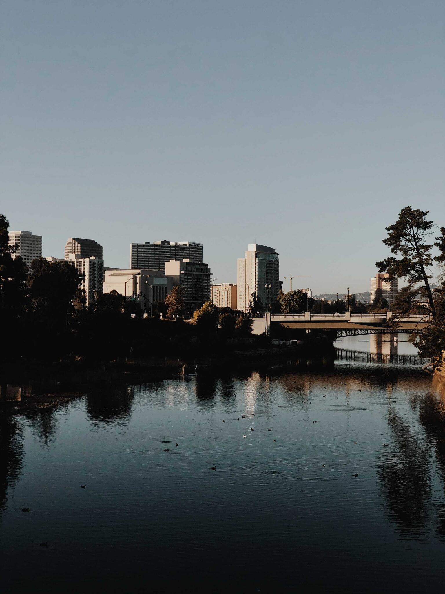Temescal, Oakland | Everything You Need to Know