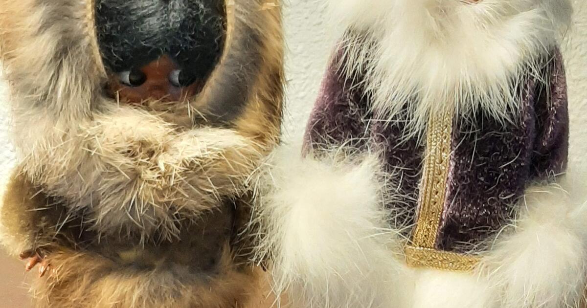 Alaska Native Eskimo Dolls pair. for $10 in Tualatin, OR | For Sale ...