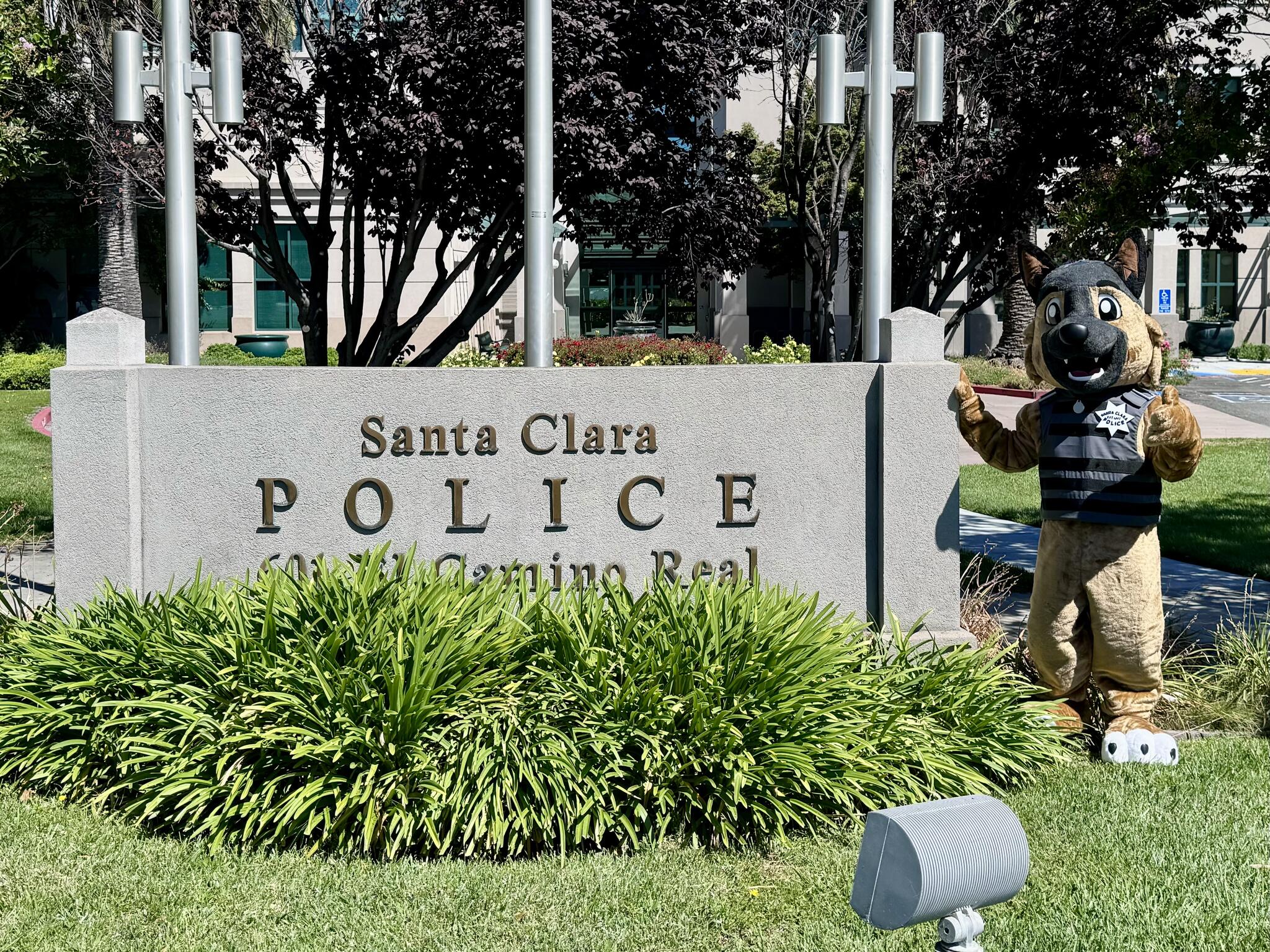 Introducing Walsh, the new mascot of the Santa Clara Police Department ...
