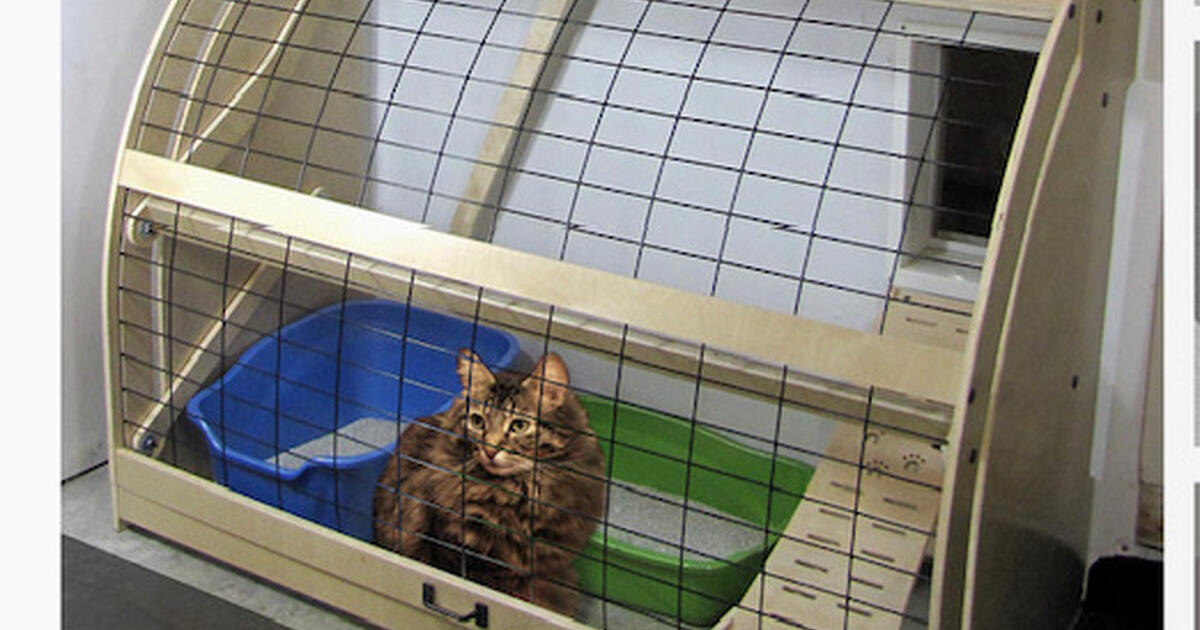 Cat Outhouse for $100 in Alexandria, VA | For Sale & Free — Nextdoor