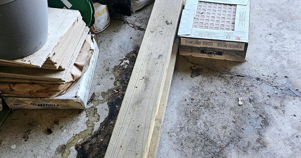 Free 4 Pieces Wolmanized Wood 16' X 6" X 1" for Free in Macomb, MI ...