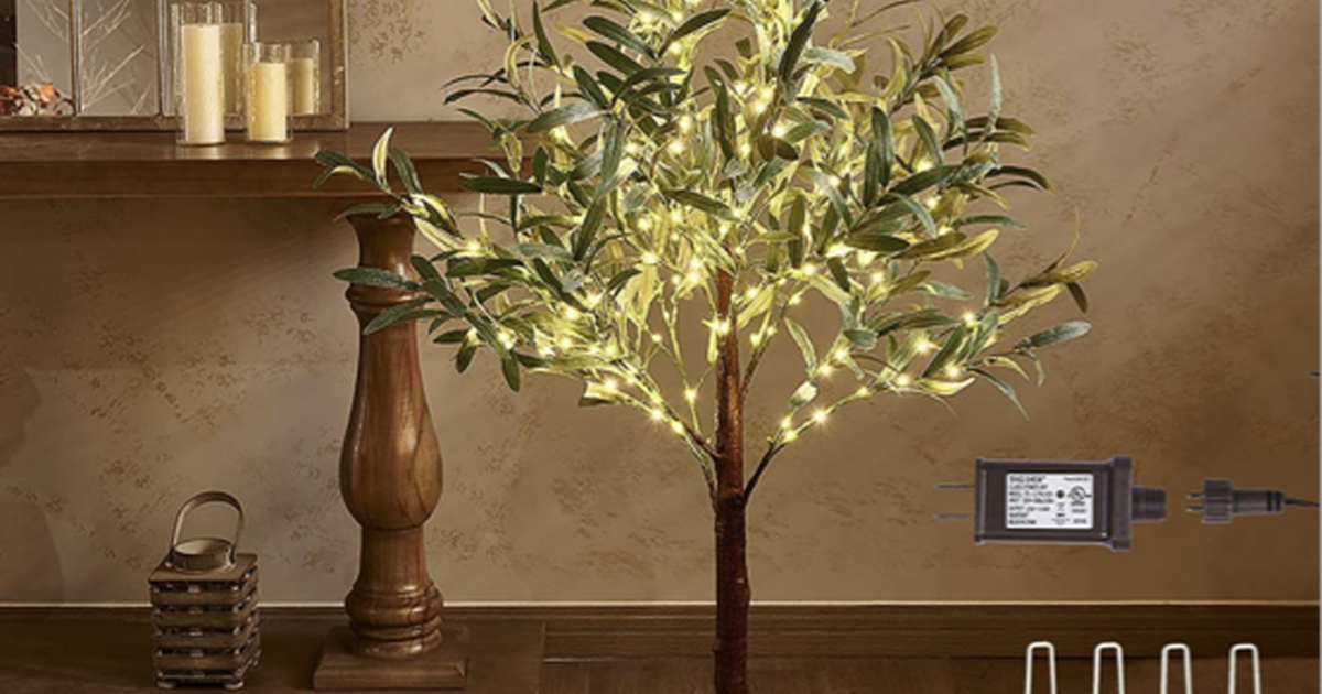 Prelit Olive Tree for $38 in Albuquerque, NM | For Sale & Free — Nextdoor