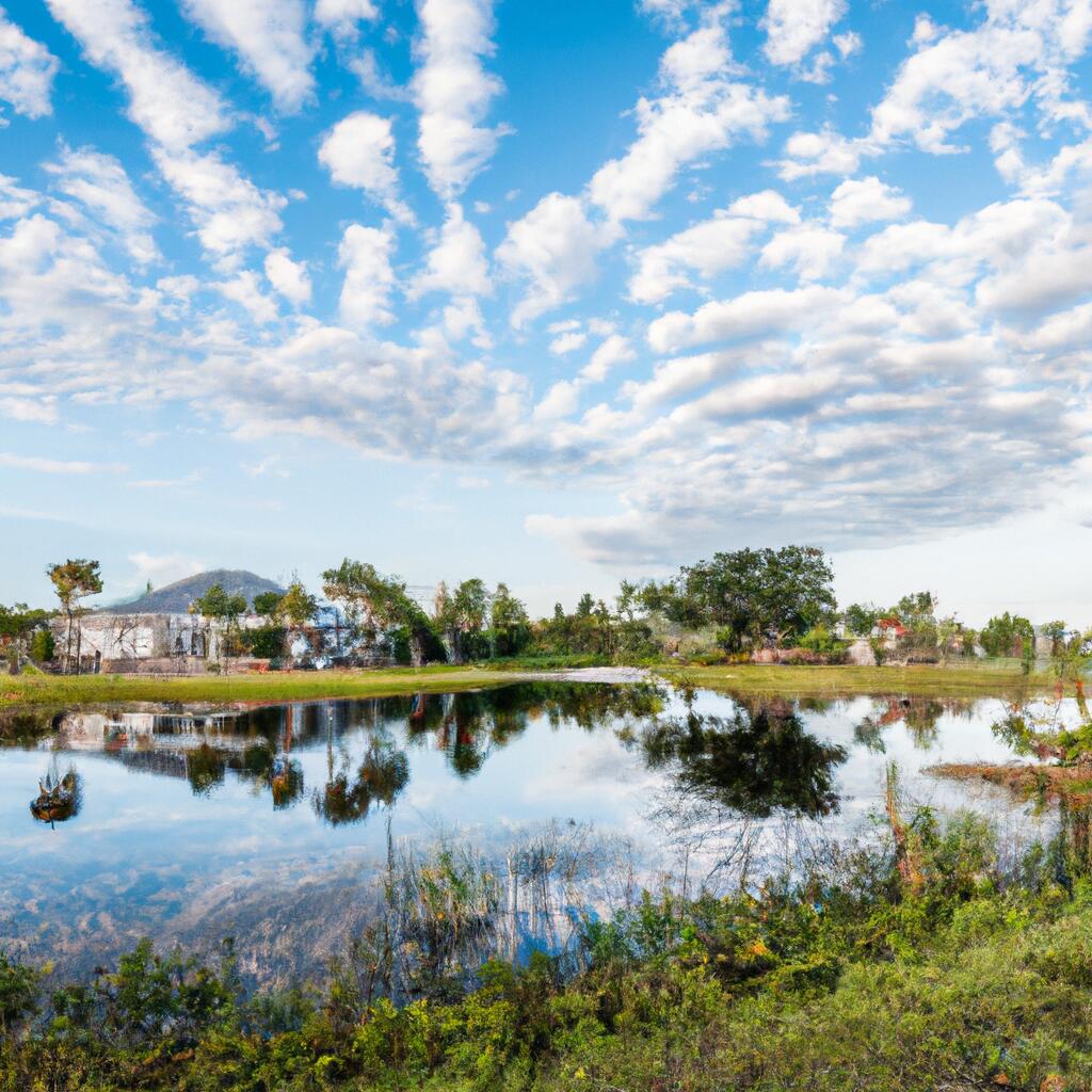 Keene Lake, Largo | Everything You Need to Know