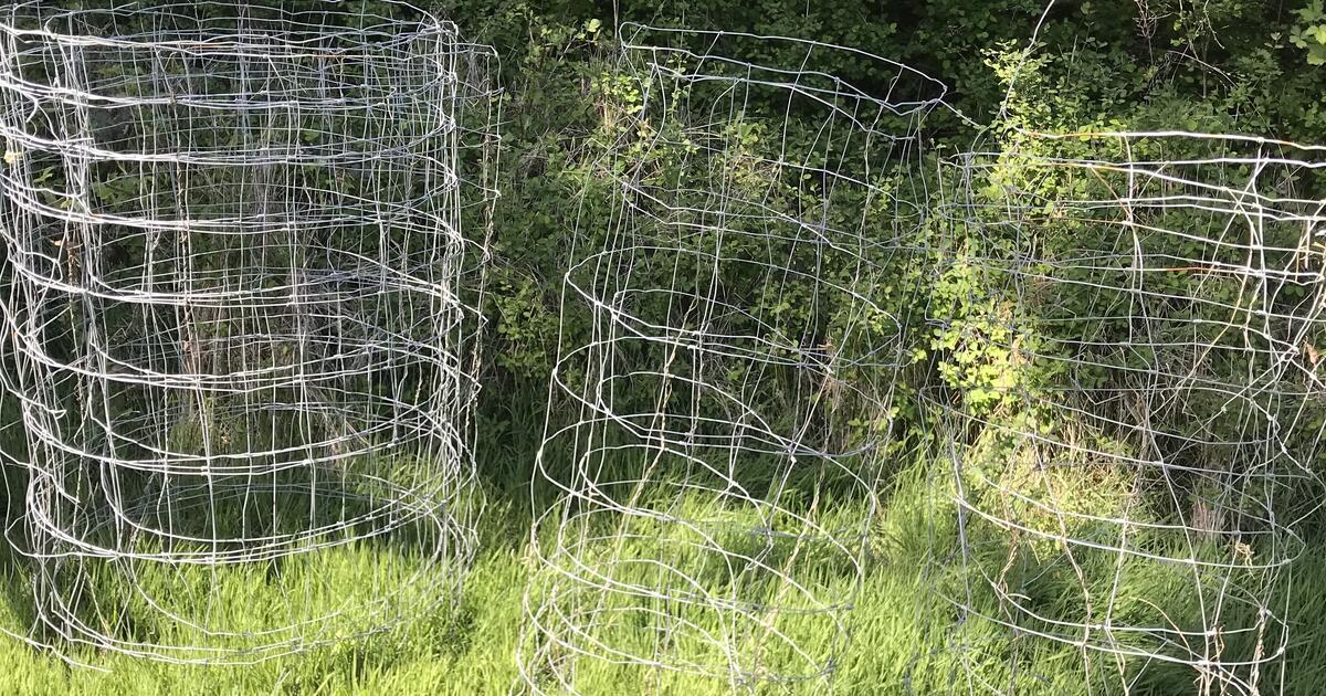 FREE Garden wire fencing. Often used for protecting trees and shrubs ...