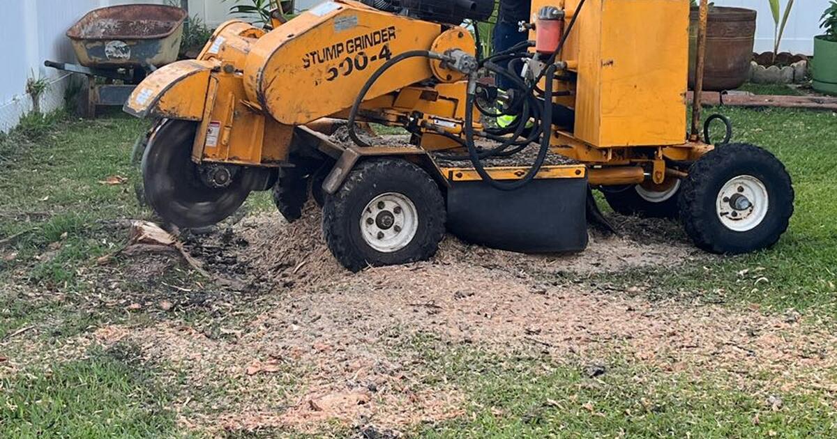 Stump Grinder for Free in Miami, FL | For Sale & Free — Nextdoor