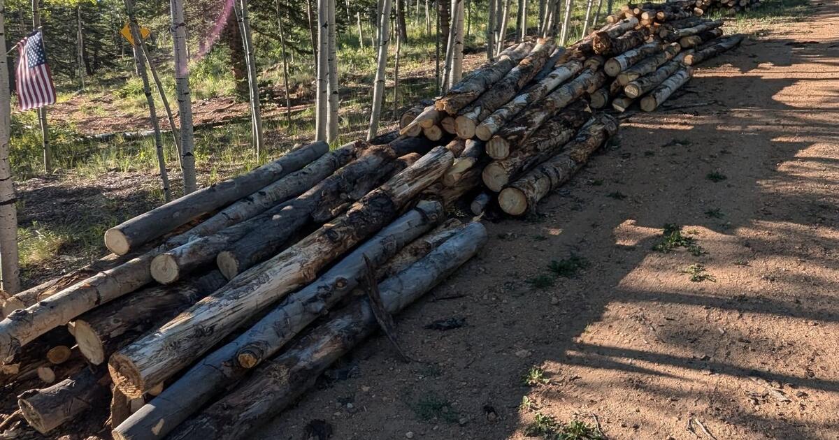 Firewood for Free in Como, CO | For Sale & Free — Nextdoor