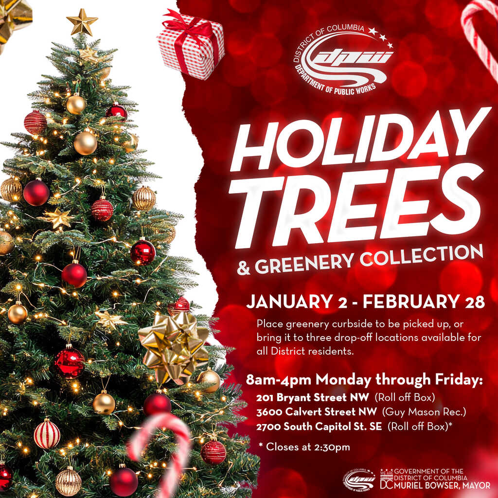 🌲 DPW's holiday tree collection began on Jan 2!