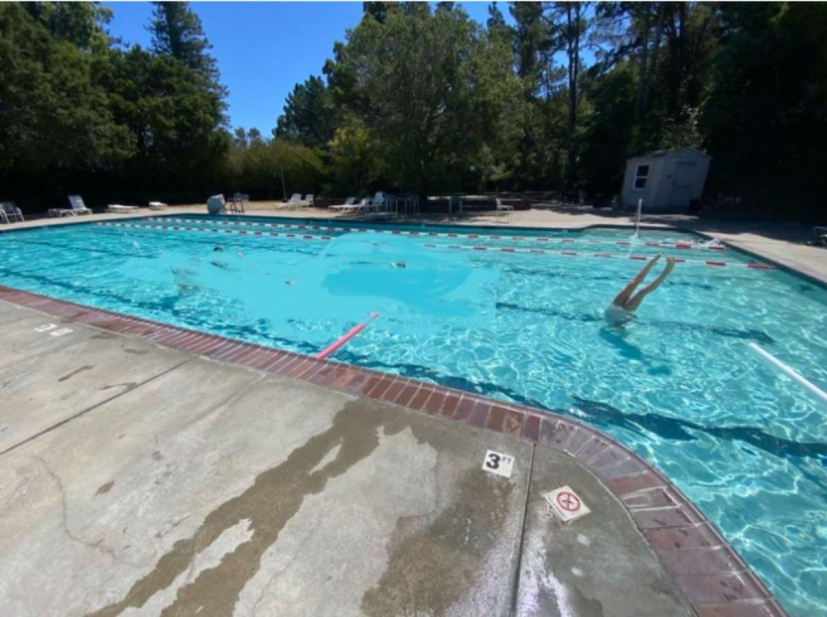 Millbrae Meadows pool membership for $8500 in San Francisco, CA | For ...