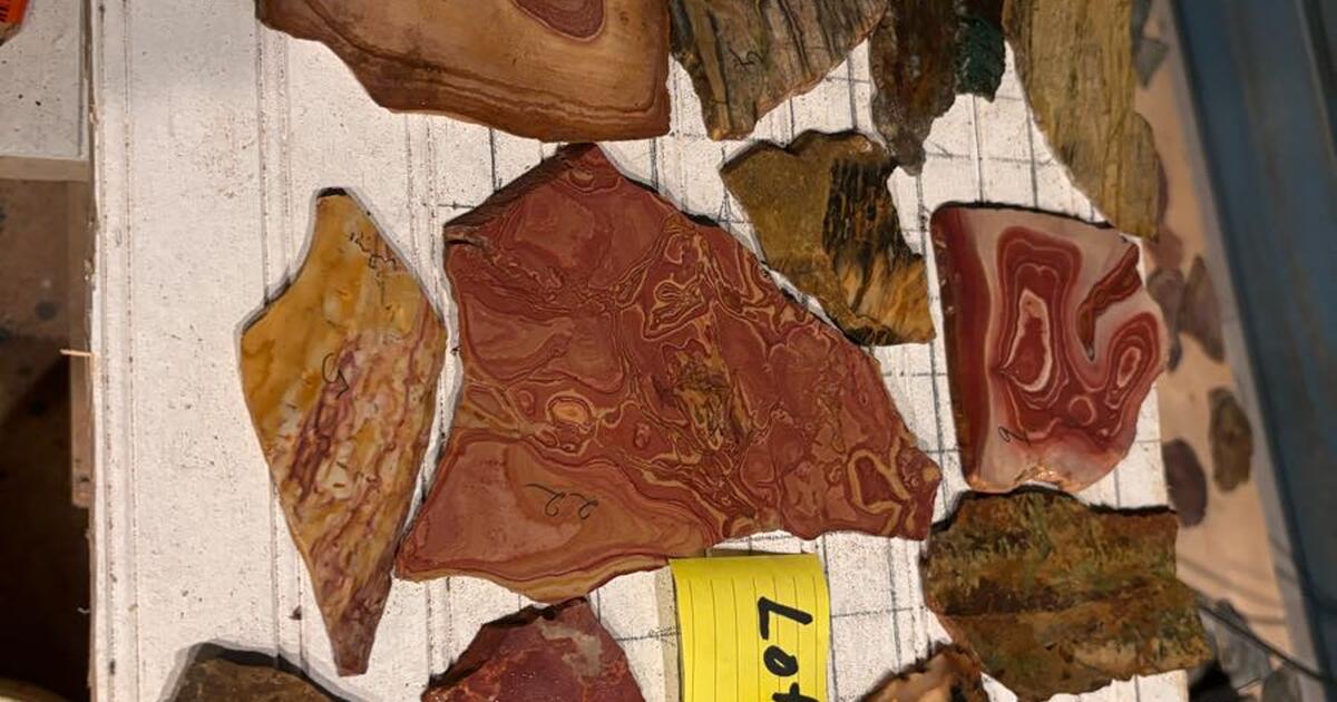 Cabbing Stone. Slices of rocks from all over the world. for $50 in ...