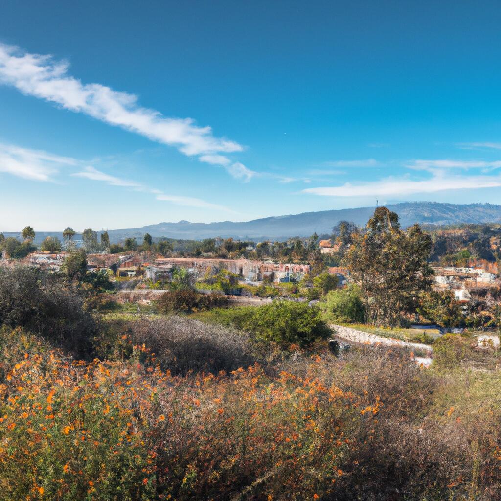 Hidden Meadows, Escondido | Everything You Need to Know
