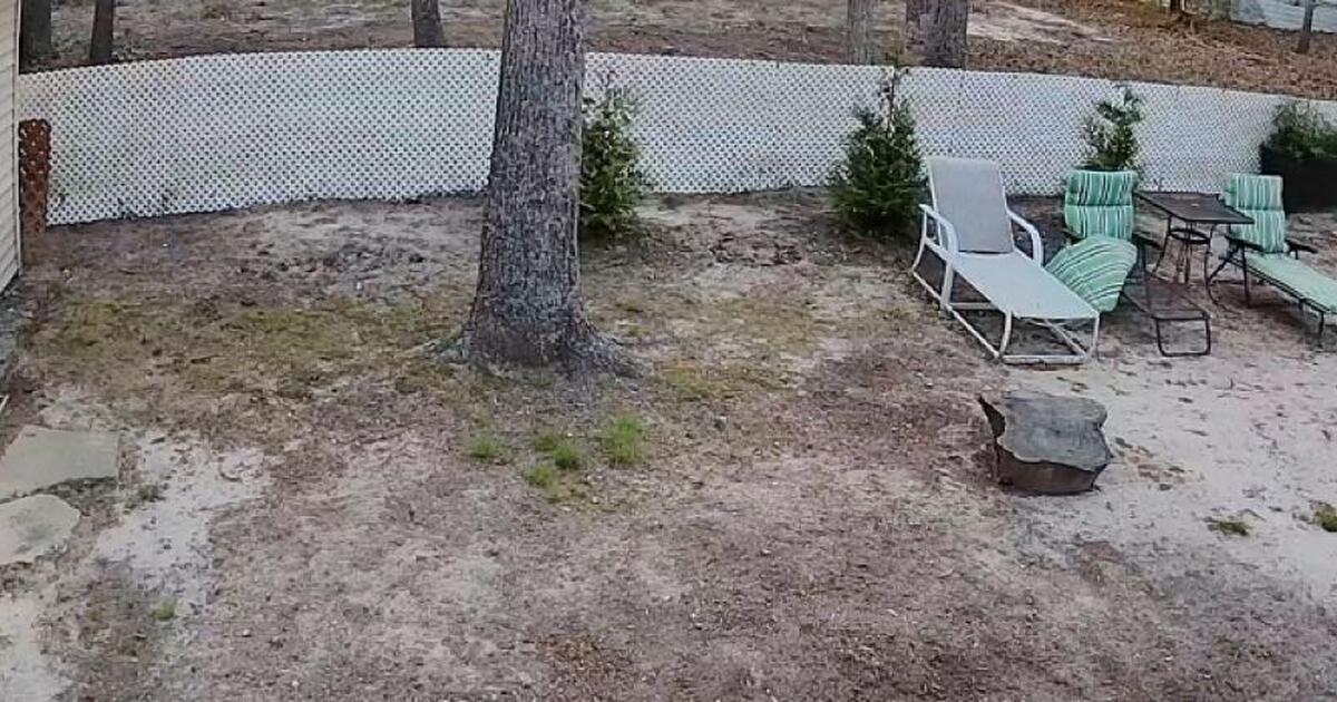 3x8 White Lattice Panels for Free in Rehoboth Beach, DE | For Sale ...