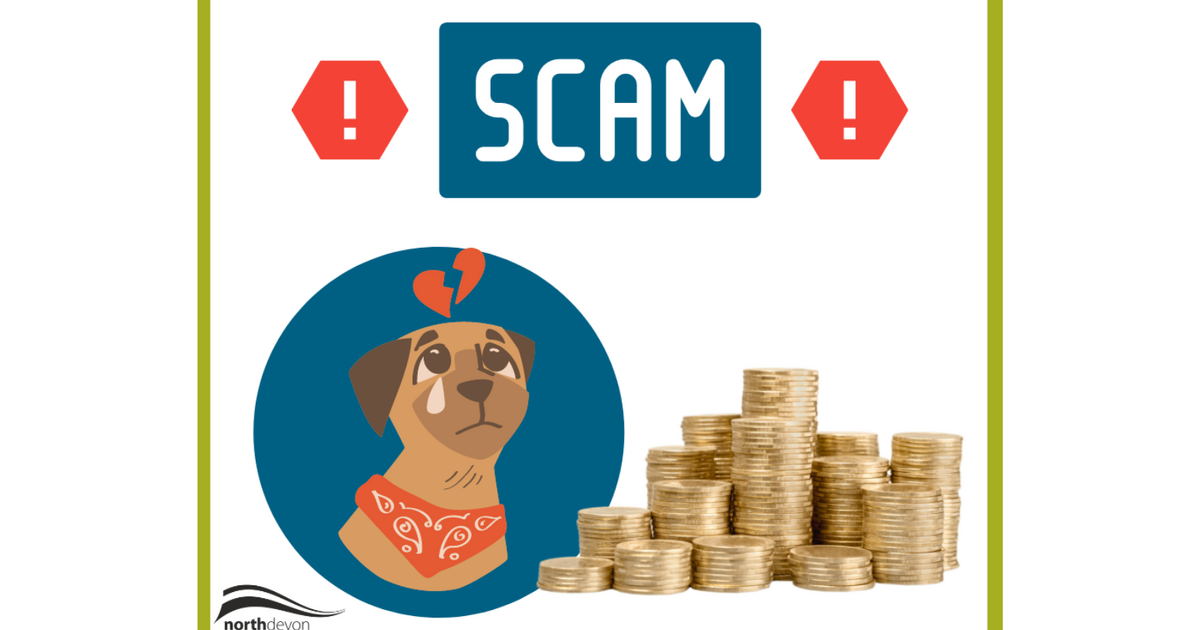 Pet scam — Nextdoor