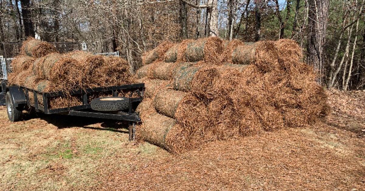 Clean Pine straw for $12 in Helena, AL | Finds — Nextdoor