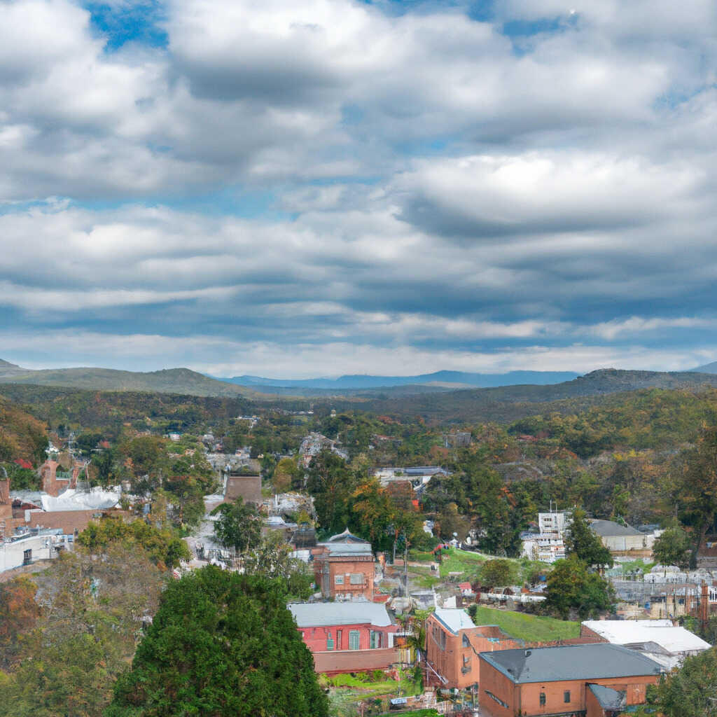 Taylor Hwy, Huntly | Everything You Need to Know