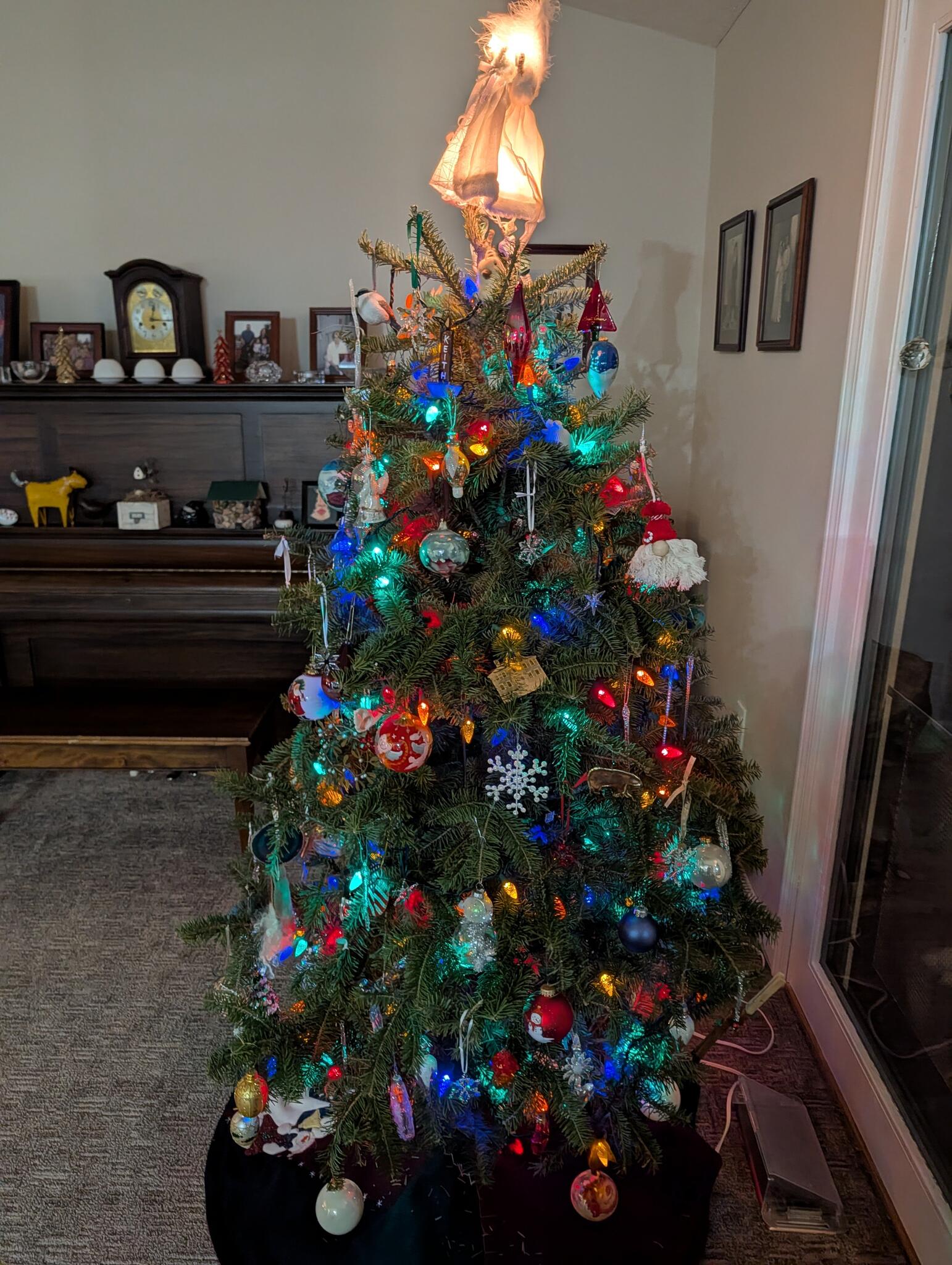 Free Christmas Tree Not Decorated for Free in Galena, OH | For Sale ...