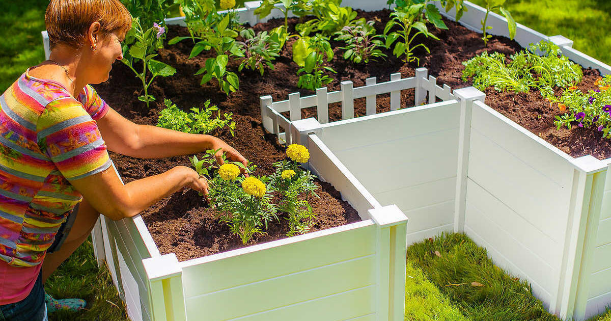 New England Raised Composting Garden for $175 in Rio Rancho, NM | For ...