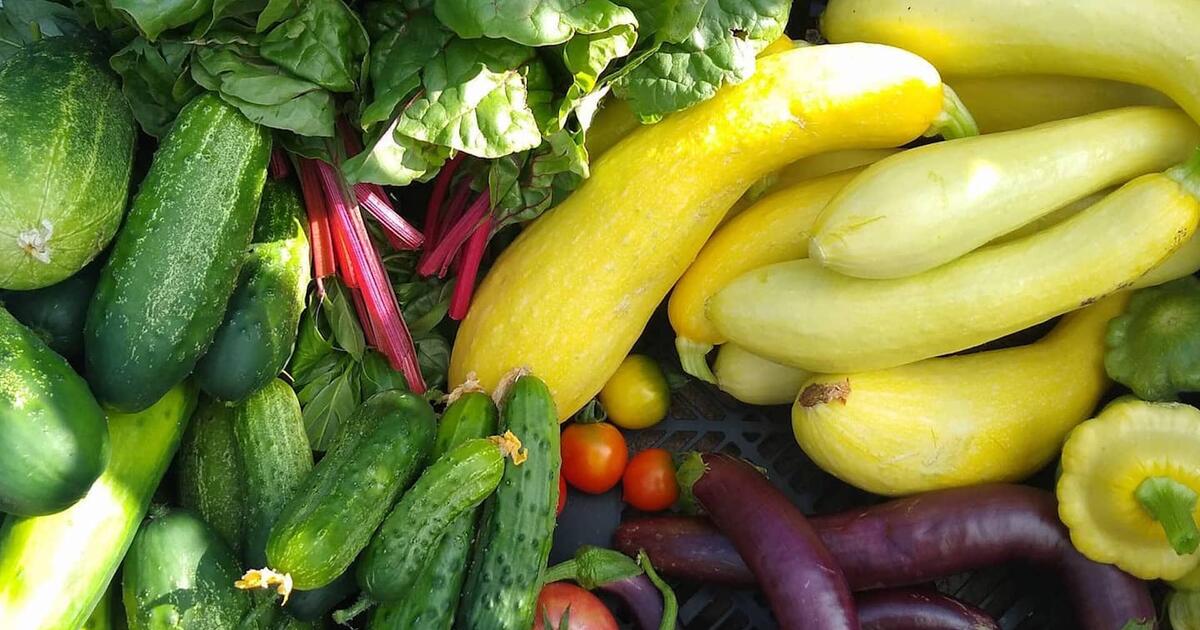 Free Veggies for Free in Denver, CO | For Sale & Free — Nextdoor