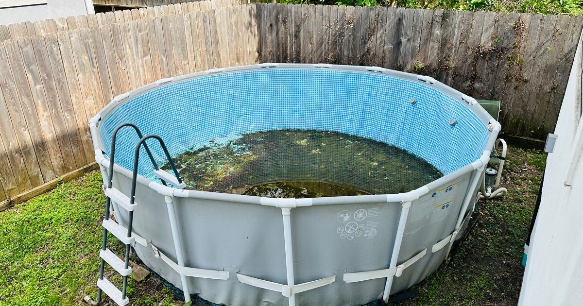 16 feet swimming pool for Free in Bellaire, TX | Finds — Nextdoor