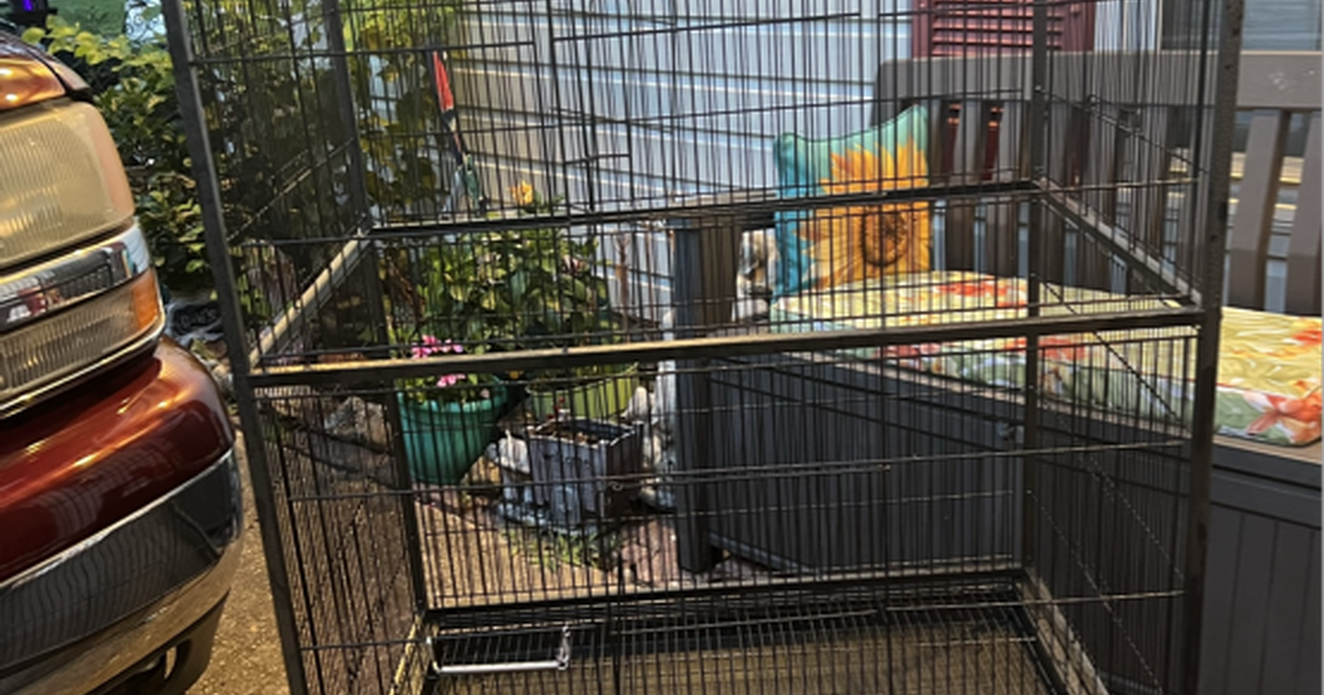 Bird cage/sugar glider for $70 in Virginia Beach, VA | For Sale & Free ...