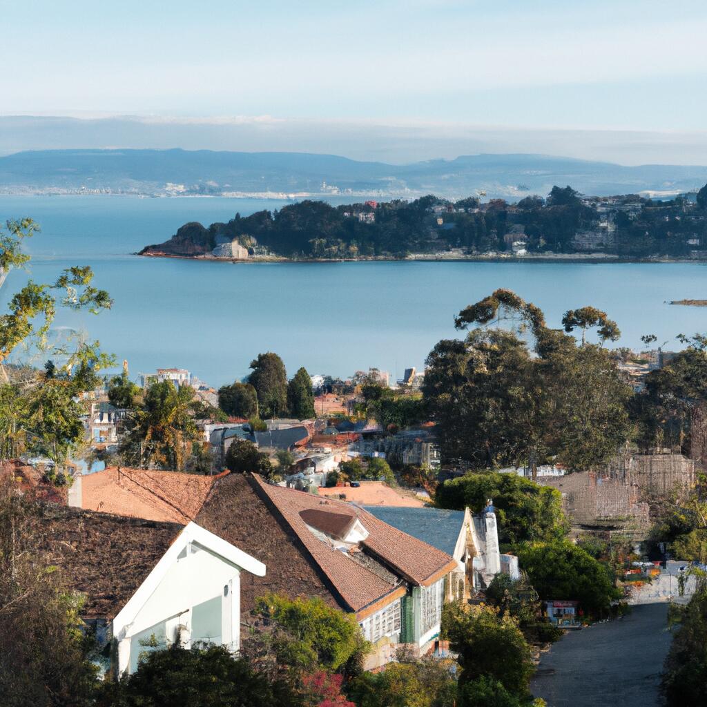 Ocean View, Berkeley | Everything You Need to Know