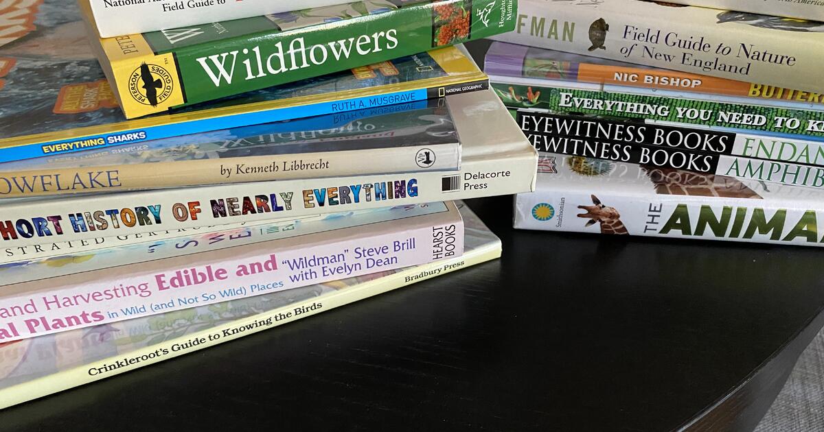 FREE BOOK PICK-UP SERVICE! for Free in Danbury, CT | For Sale & Free ...