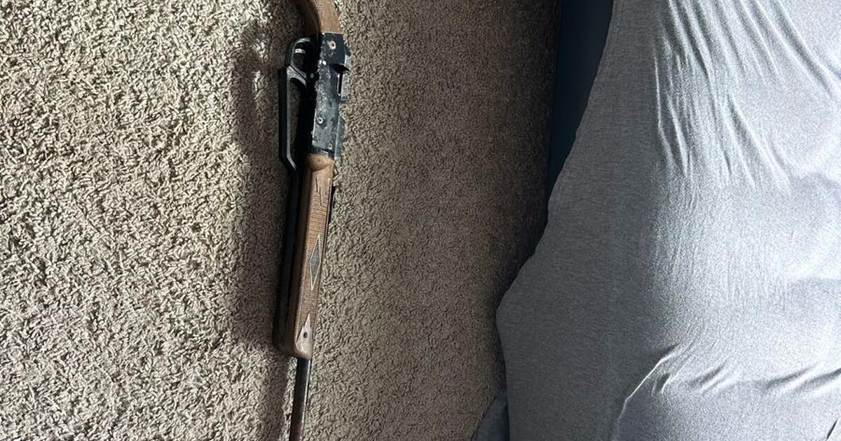 Peeling gun for $50 in Angier, NC | For Sale & Free — Nextdoor