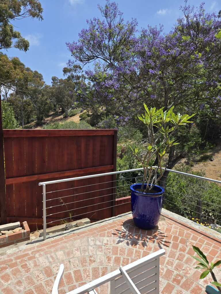 Rod creative mind - San Diego, CA - Nextdoor