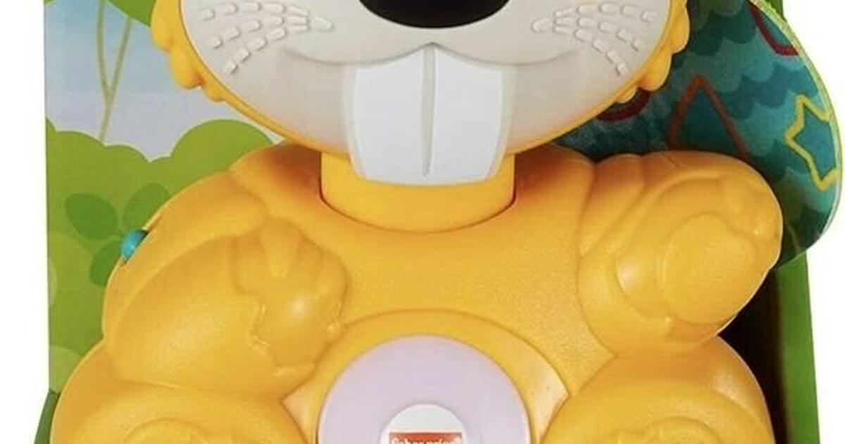 Fisher Price Linkimals Boppin Beaver Light Up Sound Activity Teaching ...