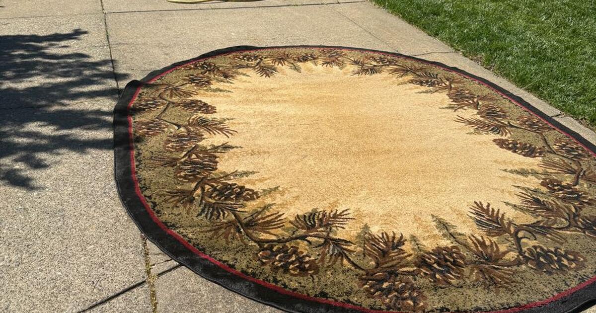 Barley used area rug for $50 in Napa, CA | For Sale & Free — Nextdoor