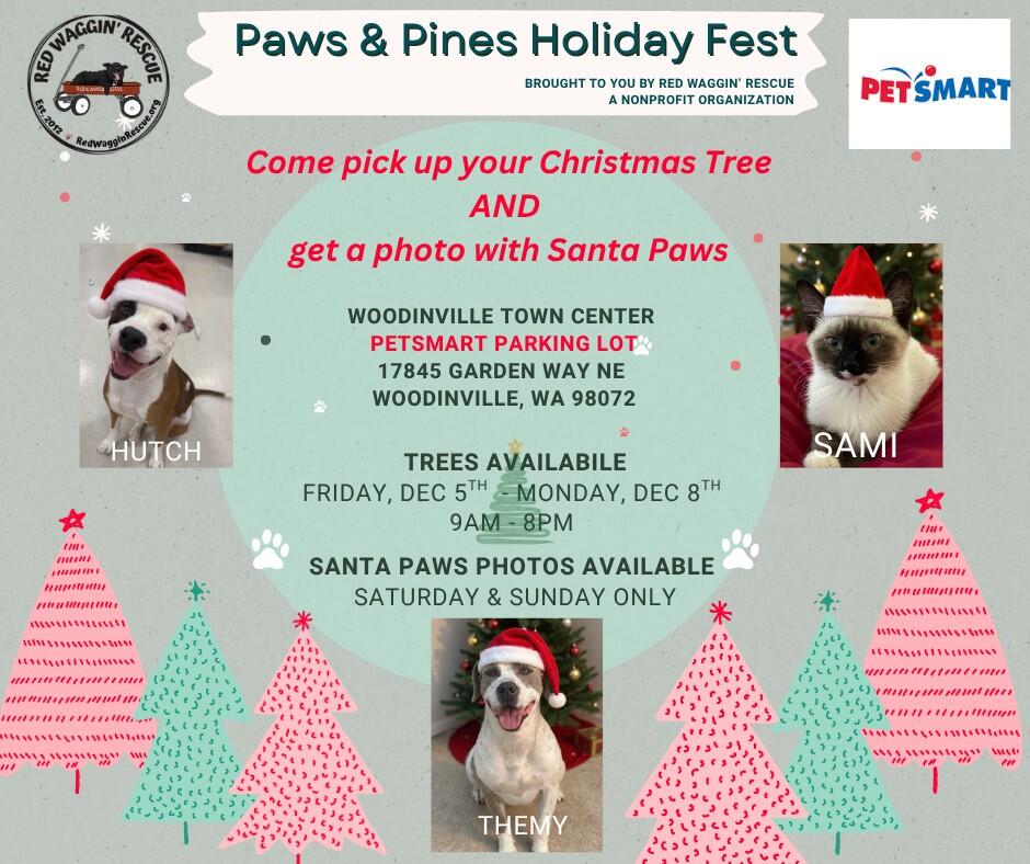 Magnolia, Seattle | Trick or Treat Map and Everything You Need to Know