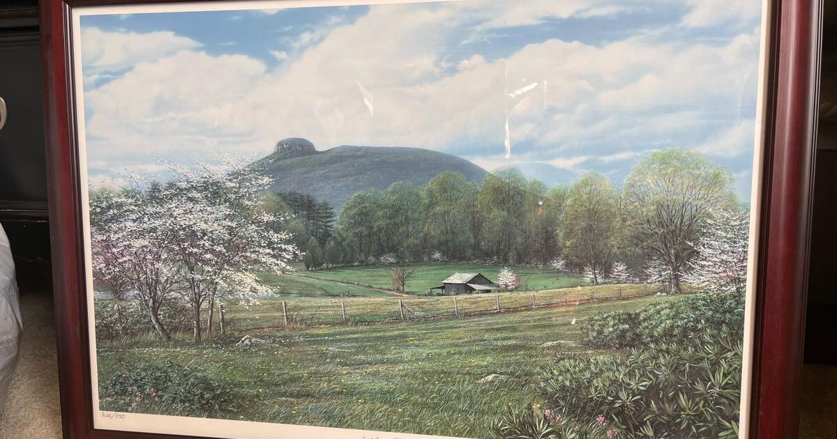 Tim Bruce Pilot Mountain Framed 'April Days' for $75 in Winston Salem ...