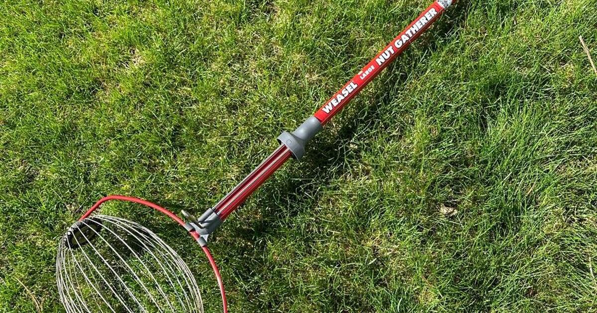 Garden Weasel Nut Gatherer Large Cage for $20 in Roscoe, IL | For Sale ...