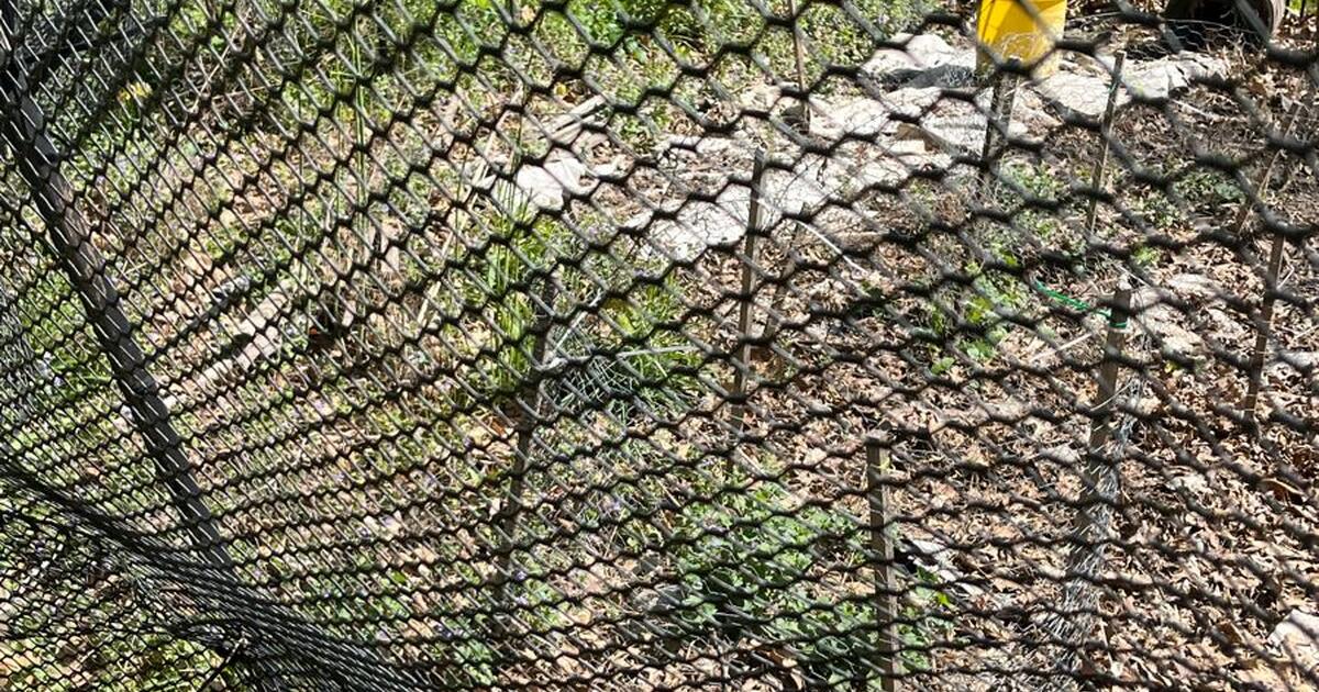 FREE CHICKEN WIRE for Free in Indianapolis, IN | For Sale & Free — Nextdoor