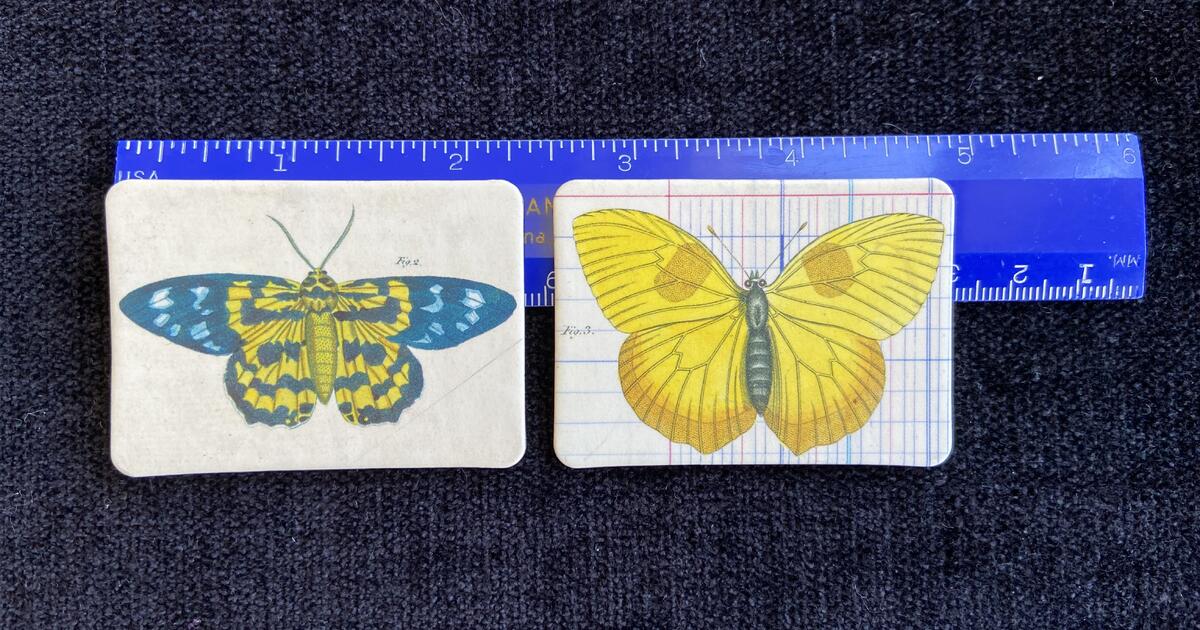 Butterflies (magnets) are free to fly.... for Free in San Francisco, CA ...