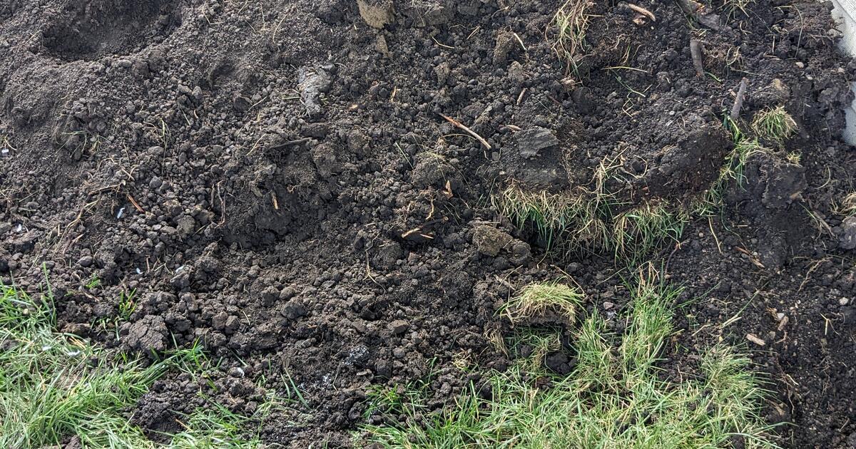 Beautiful Black Topsoil For Your Raised Bed Garden for Free in Glen ...
