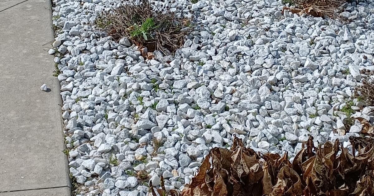 White Landscape Rock for Free in The Villages, FL | For Sale & Free ...