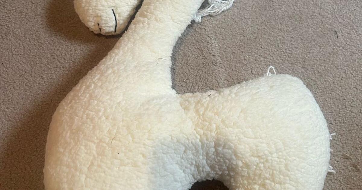 Newborn photo props for $600 in Colorado Springs, CO | For Sale & Free ...