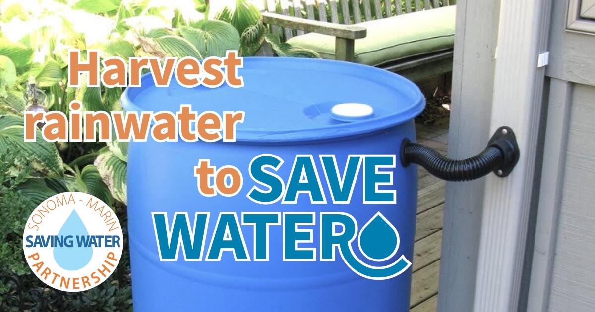 Now is the perfect time to install a rainwater harvesting system ...