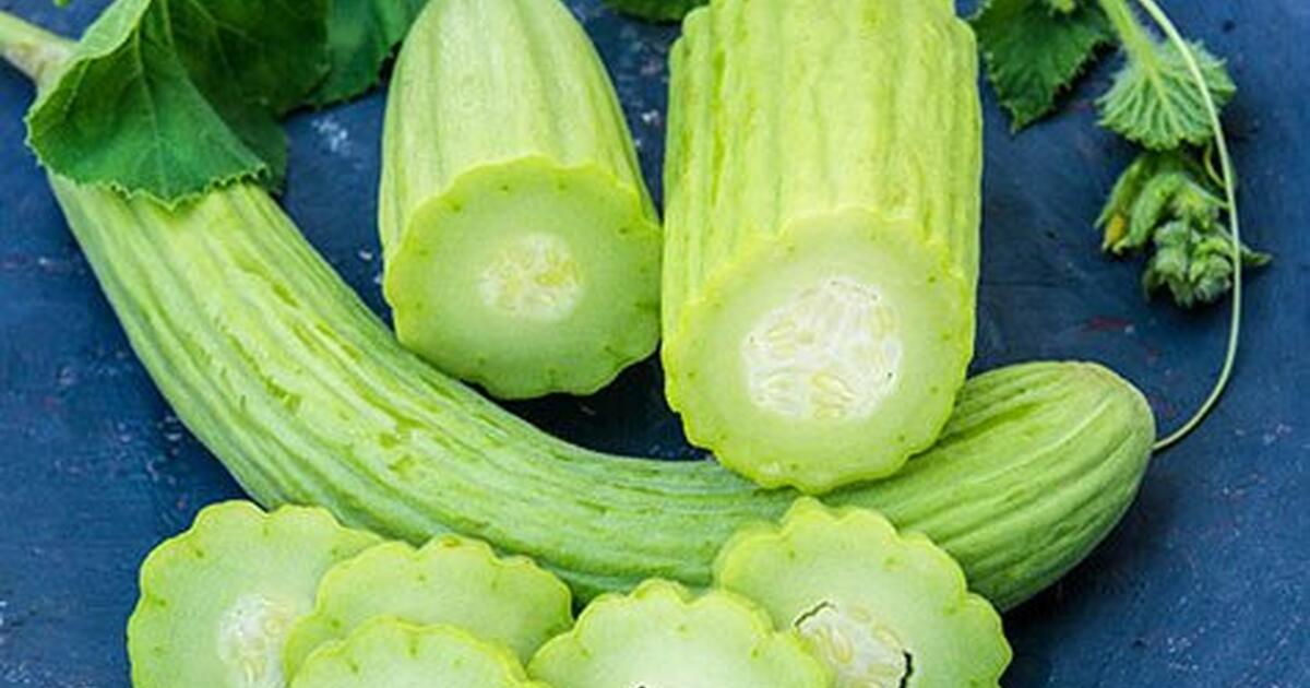 Fresh Organic Armenian Cucumbers--Locally Grown for $1234 in Sierra ...