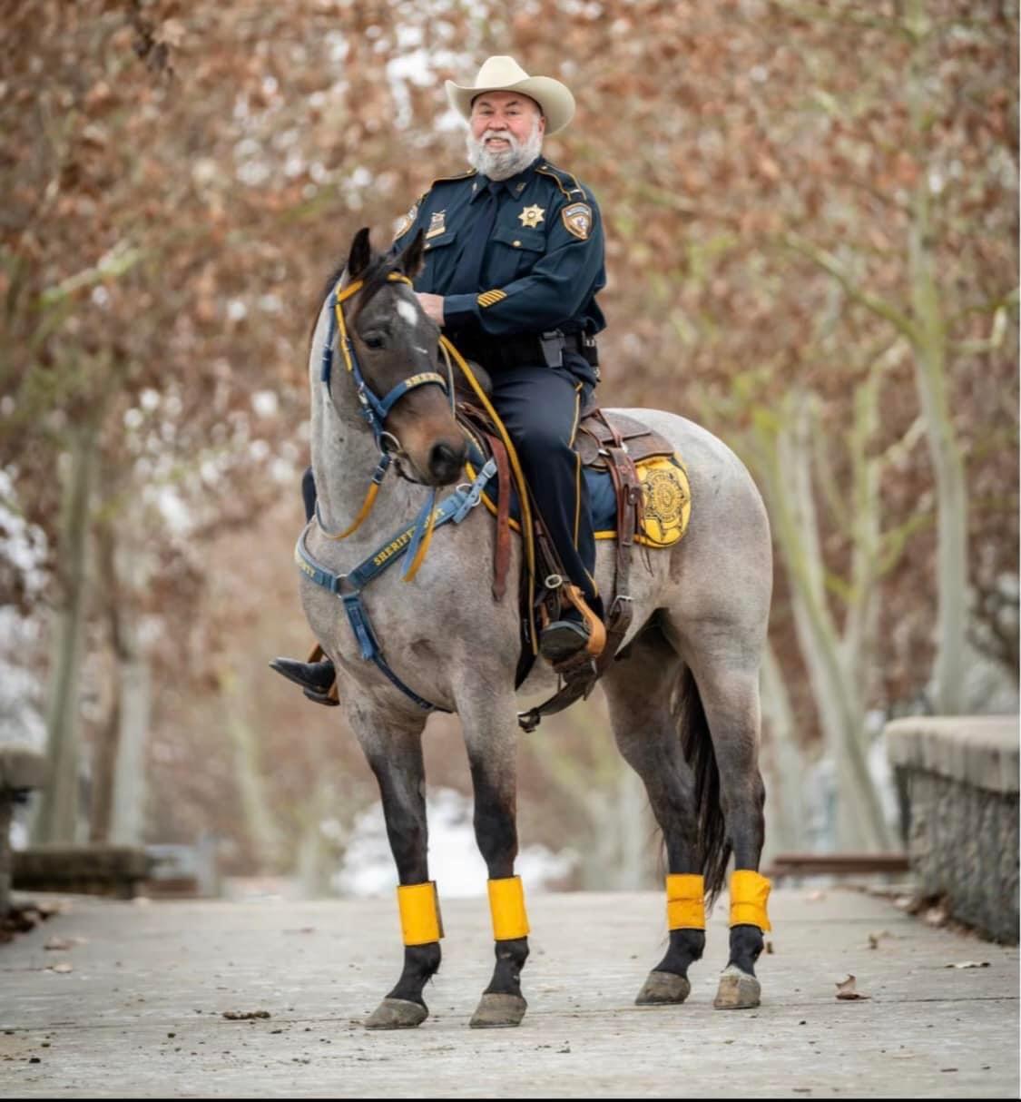 Meet Boons Blue Line aka ‘Rio’ a 7-year-old registered bay roan horse ...