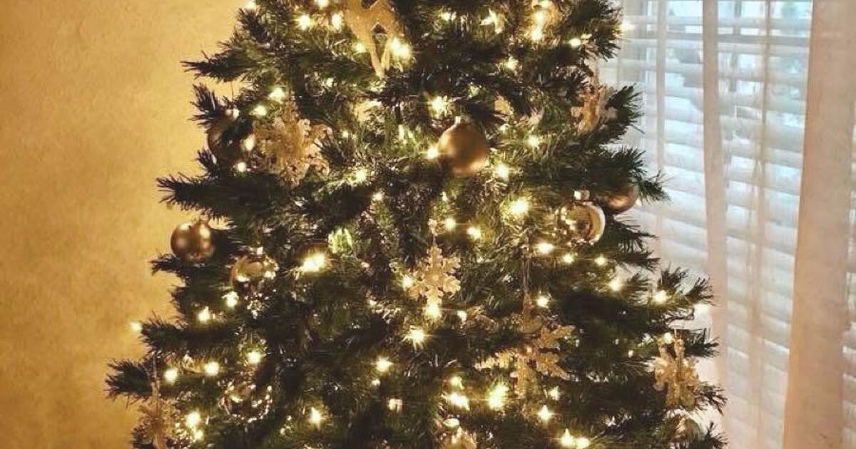 FREE Christmas Tree (No Lights) for Free in Missouri City, TX | For ...