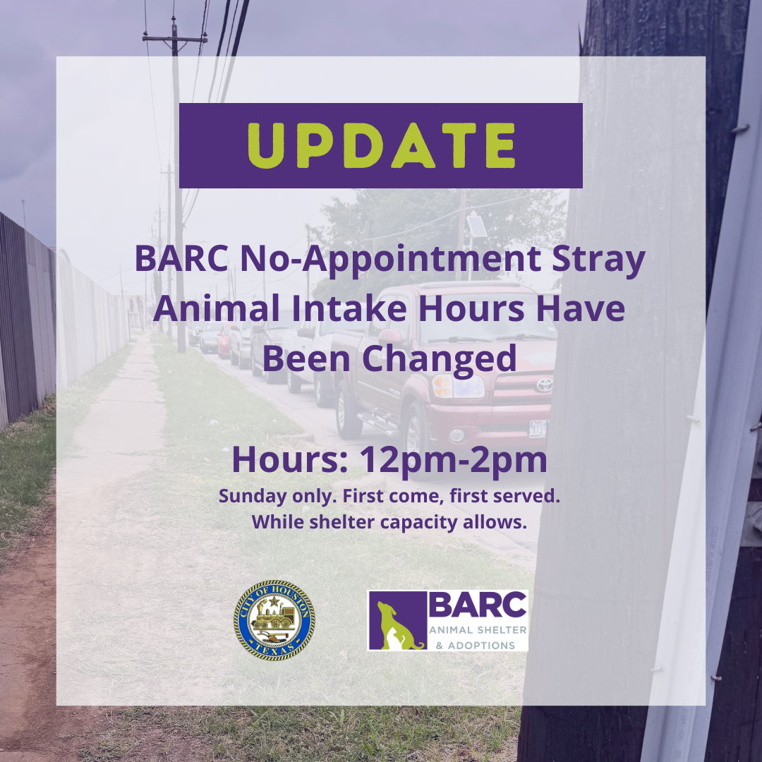 📢 UPDATE: BARC Animal Shelter's Stray Animal Intake (City of Houston ...
