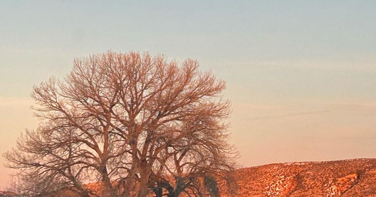 Redstone Ridge RV Ranch for $45 in Fort Collins, CO | For Sale & Free ...