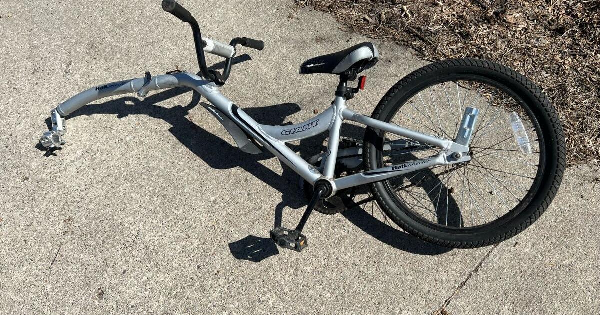 Bike tag along trailer for $50 in Edina, MN | For Sale & Free — Nextdoor