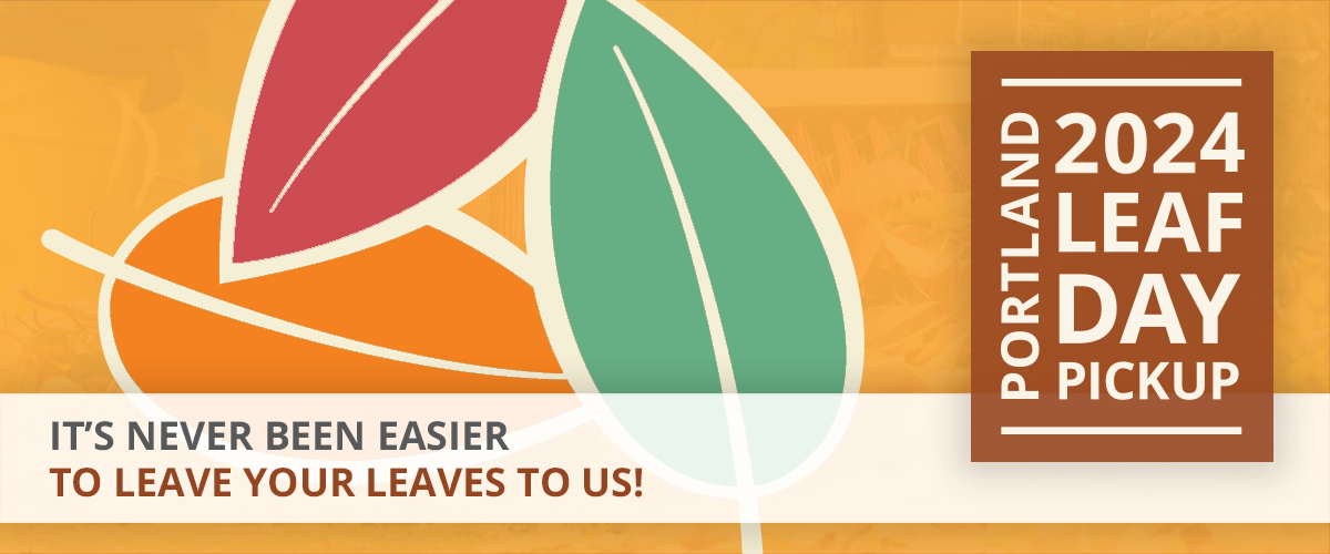 Leaf Day is coming to a neighborhood near you in just a few days ...